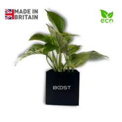 Aluminium Branded Plant Pots: Modern & Beautiful Eco Merchandise