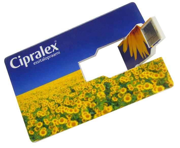 Wallet Card USB Stick | Brandelity | Printed Card USB Sticks